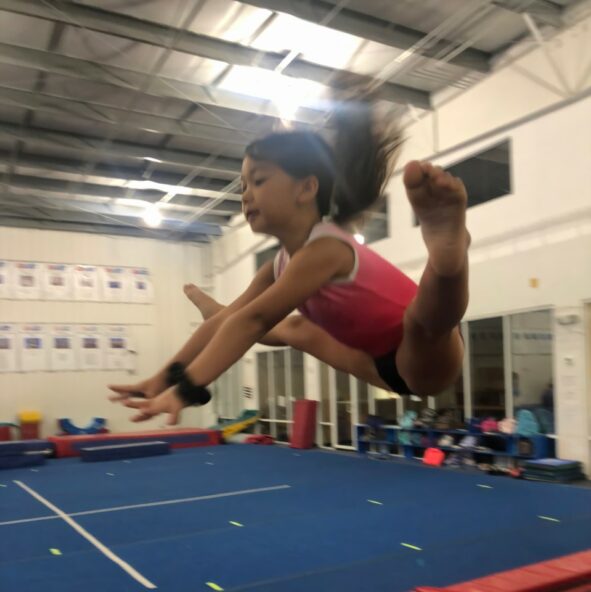 Girls Gymnastics – ACE Gymnastics
